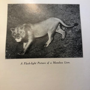 Photographing Wildlife Across the World Cherry Kearton 1923 Edition ...