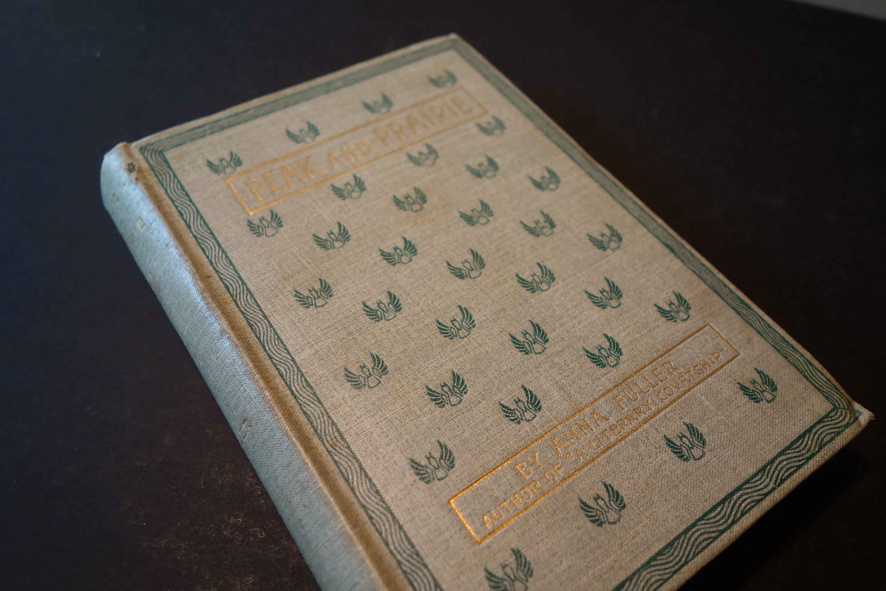 Anna Fuller Peak and Prairie: From a Colorado Sketch-book 1894 | Etsy