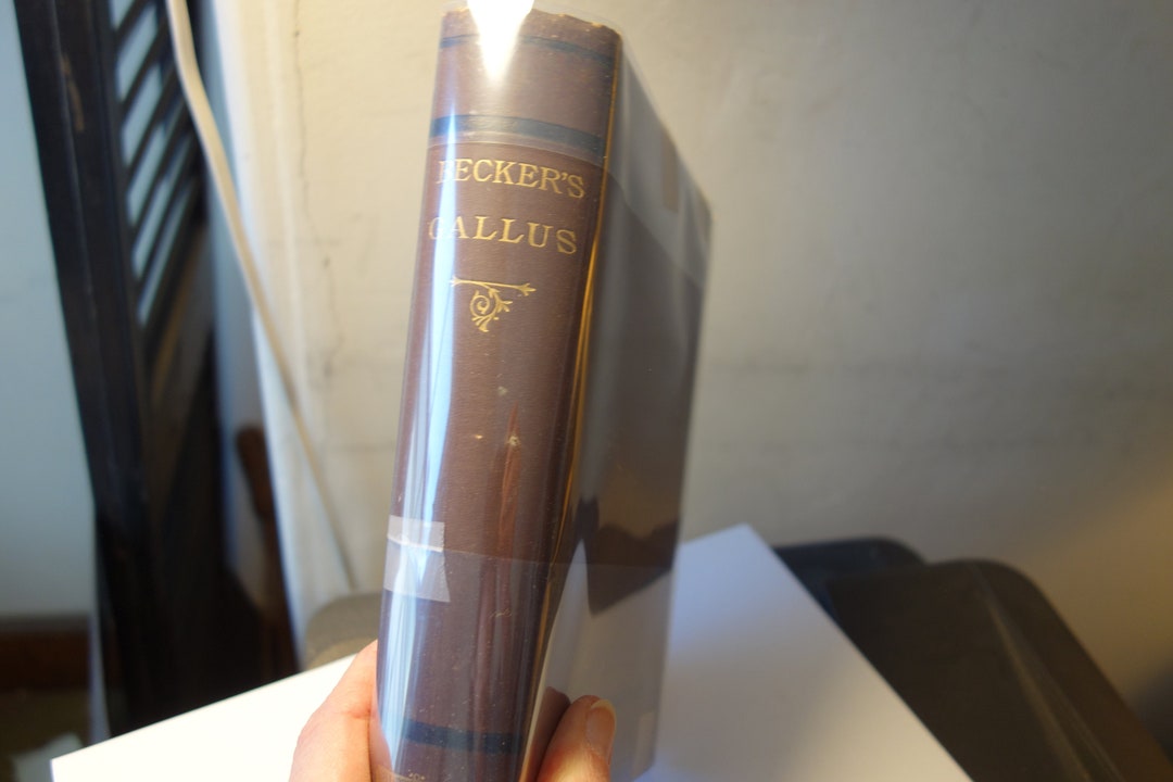 1882 Gallus Roman Scenes in the Times of Augustus by W A Becker History ...