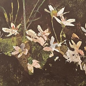 Andrew Wyeth, May Day | Published Lithograph Print Mid 20th Century ...