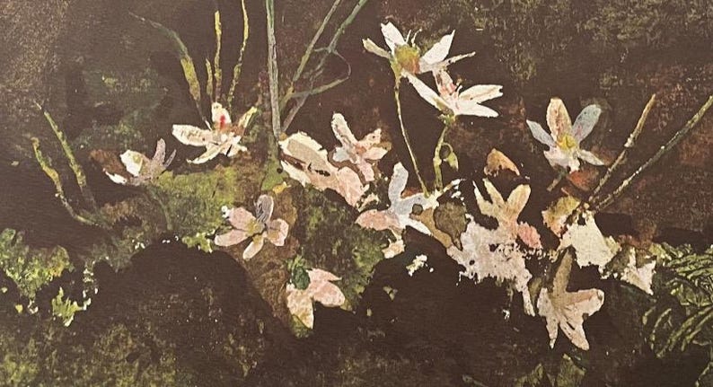 Andrew Wyeth, May Day | Published Lithograph Print Mid 20th Century ...