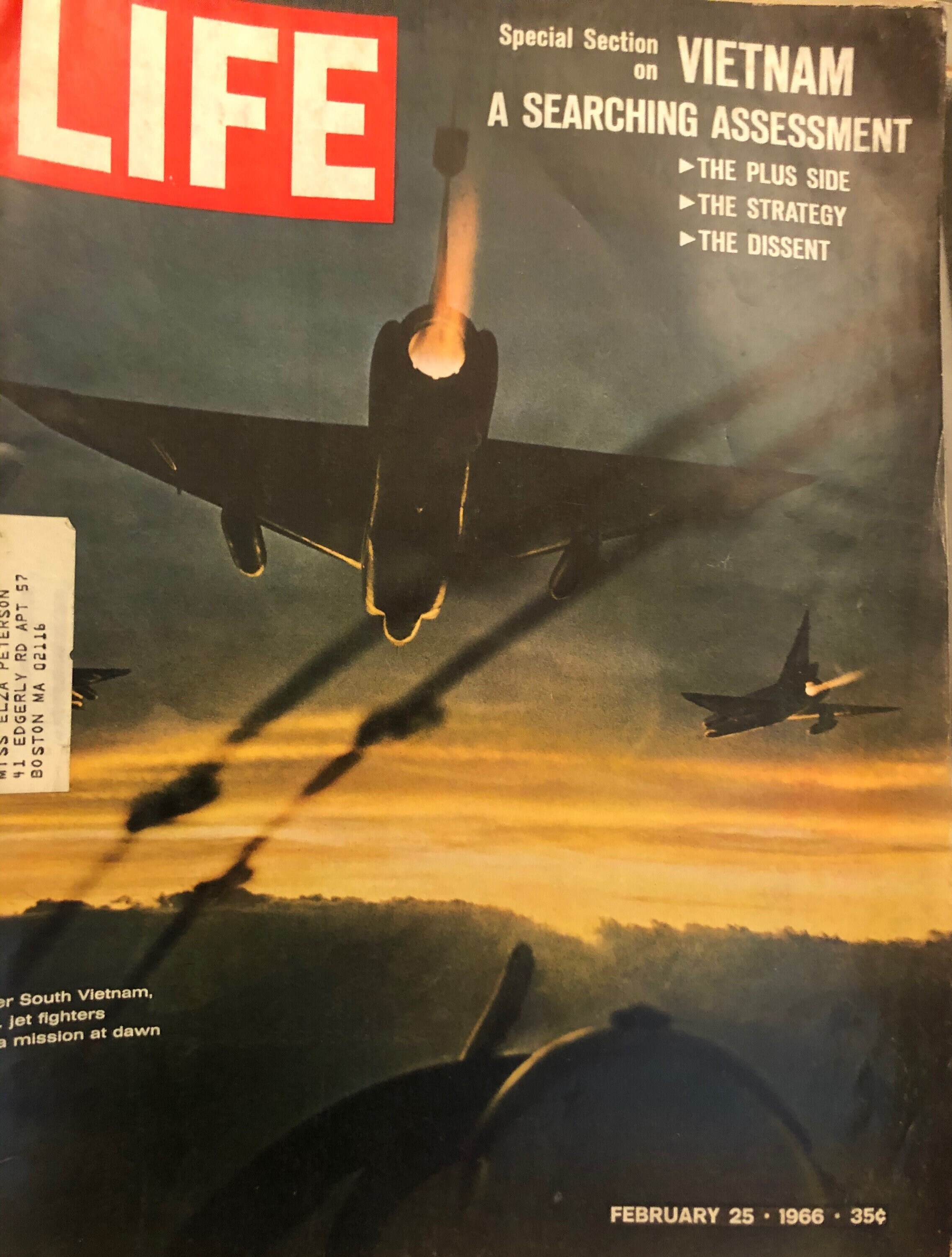Memorabilia Art & Collectibles Insect DSA 1966 Vietnam War issue ...
