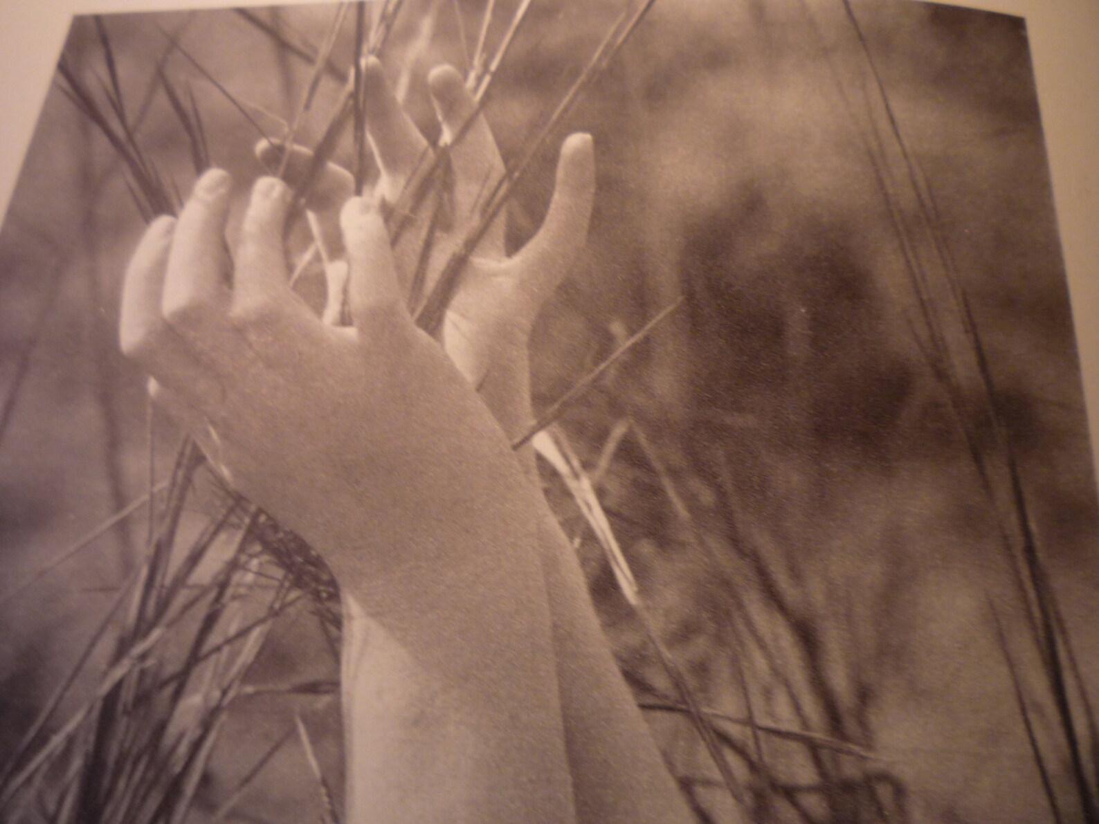 Edward Steichen - A Life in Photography First Edition Doubleday 1963 ...