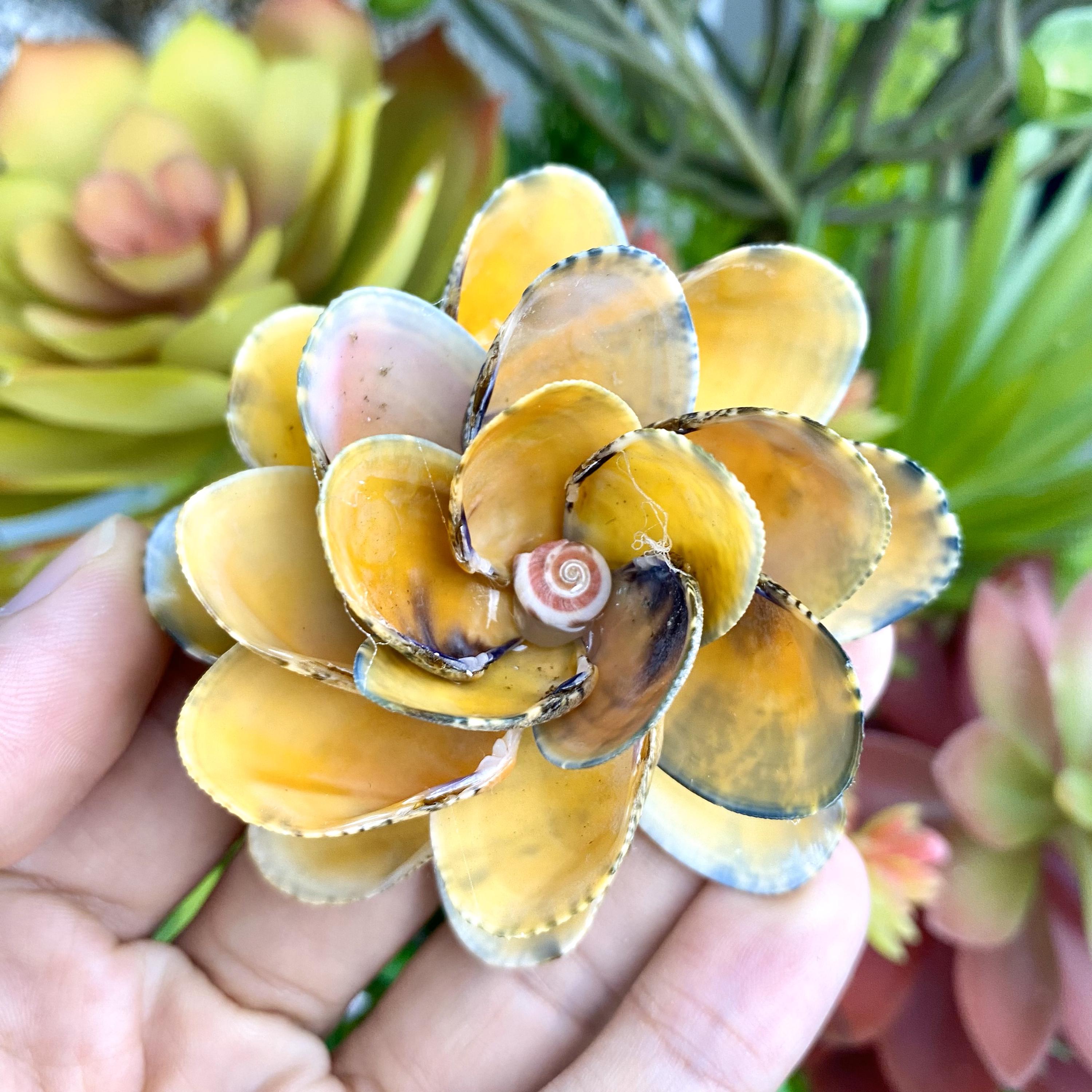 Seashell Flowers Beach Wedding Decor, Seashell Spring Flower Gift for ...
