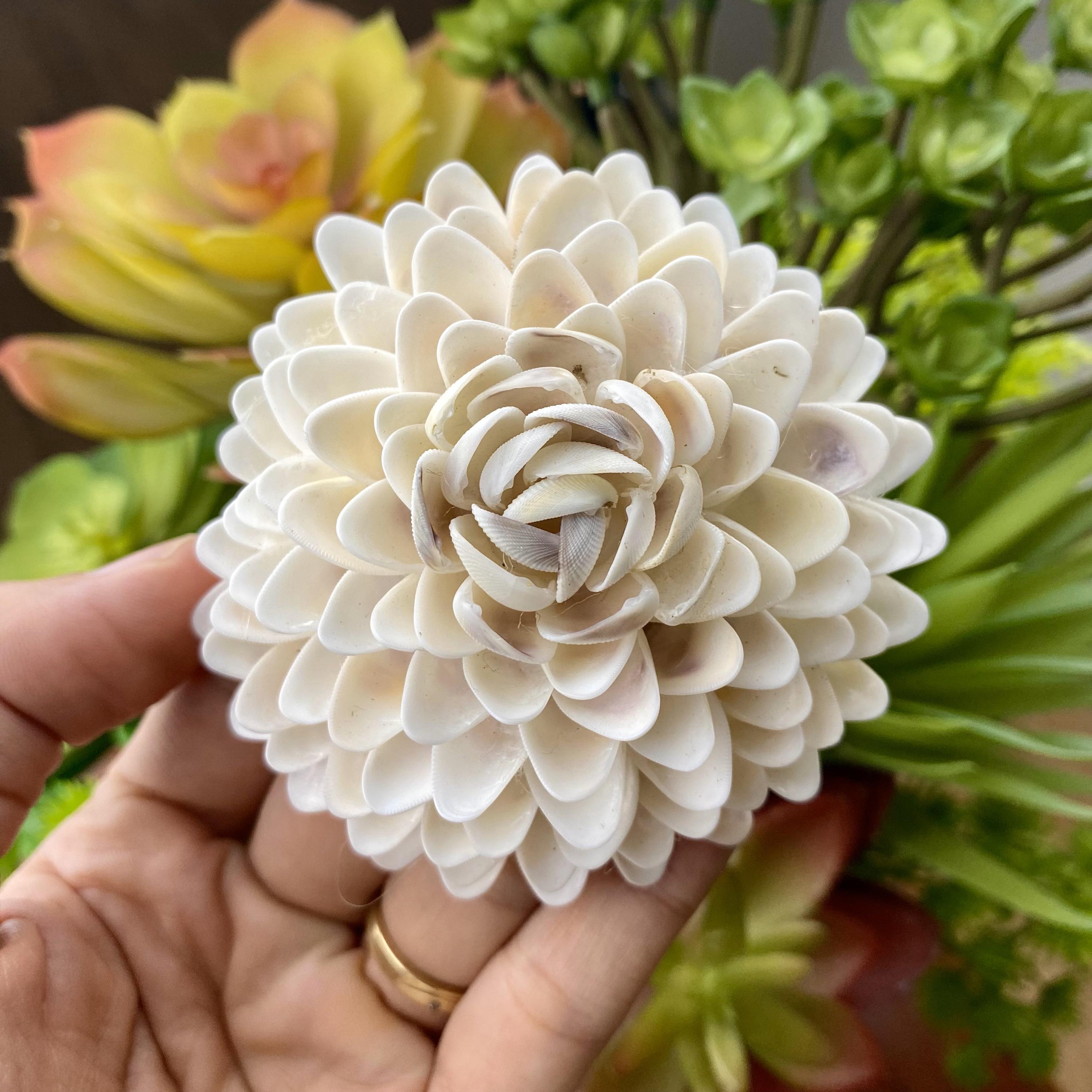 Natural Seashell Flowers Coastal Decor, Seashell Beach Wedding Decor ...