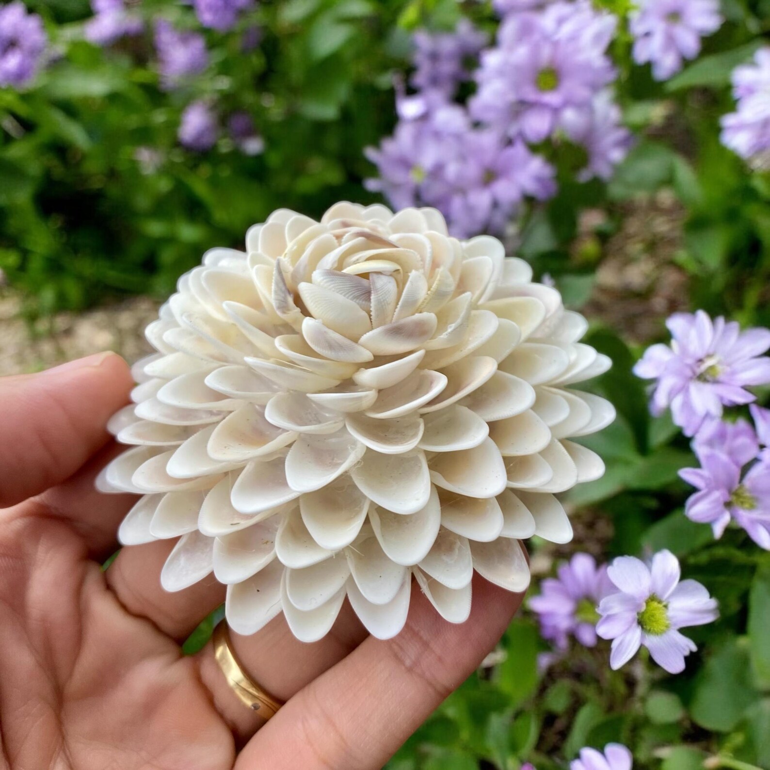 Natural Seashell Flowers Coastal Decor, Seashell Beach Wedding Decor ...