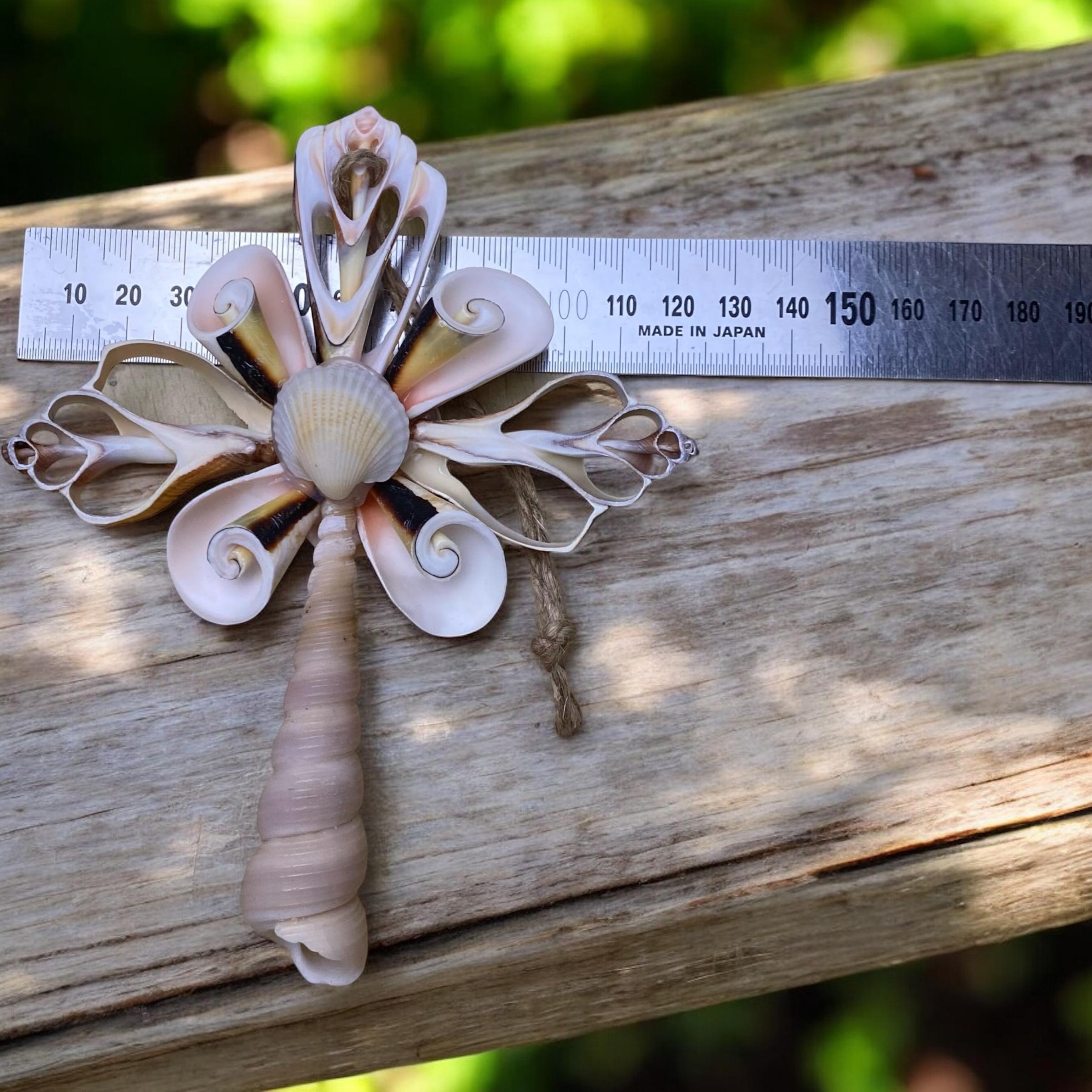 Seashell Cross, Small Seashell Cross, Natural Sea Shell Wall Hanging ...