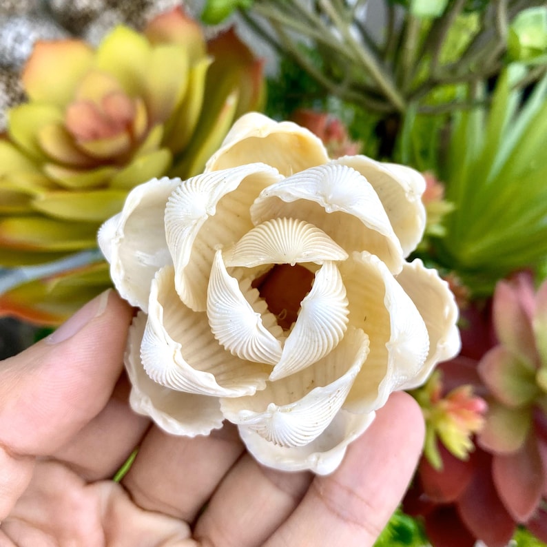 Seashell Flowers Beach Wedding Decor, Seashell Spring Flower Gift for ...