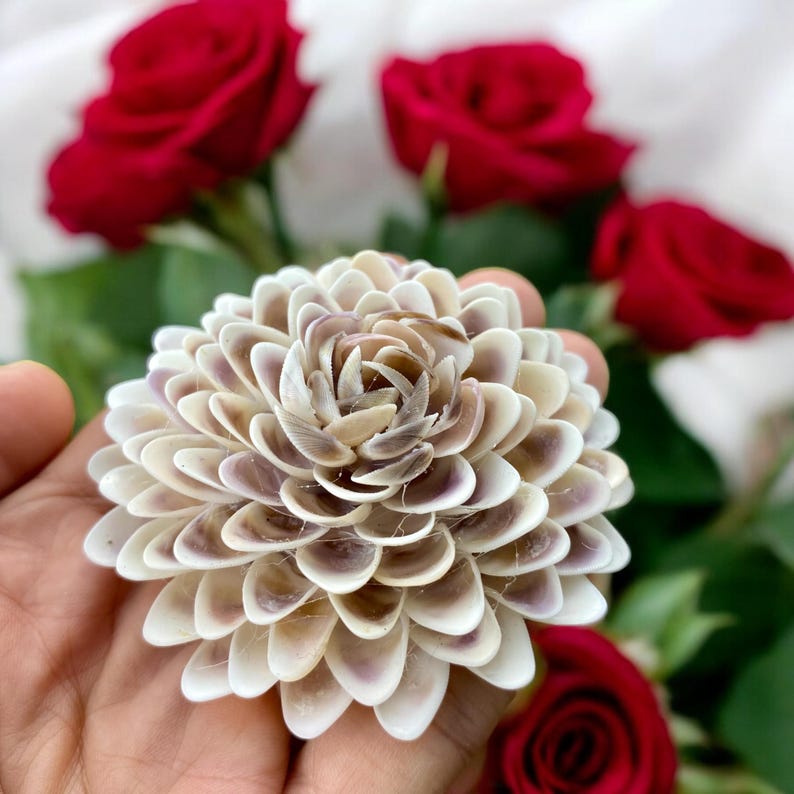 Handmade Seashell Flower: Coastal Wedding Decor (60-80mm) - Etsy
