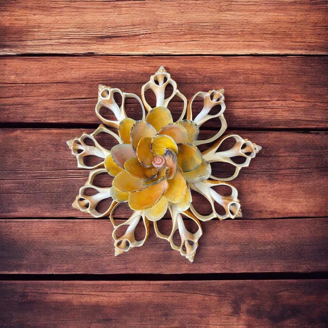 Yellow Shell Slices Flowers Shell Coastal Home Decor, Cut Shell Flower ...