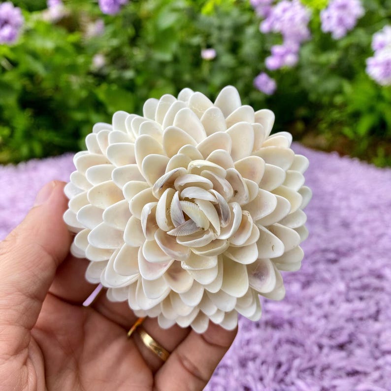 Handmade Seashell Flower Decor, Natural Coastal Wedding Ornament - Etsy