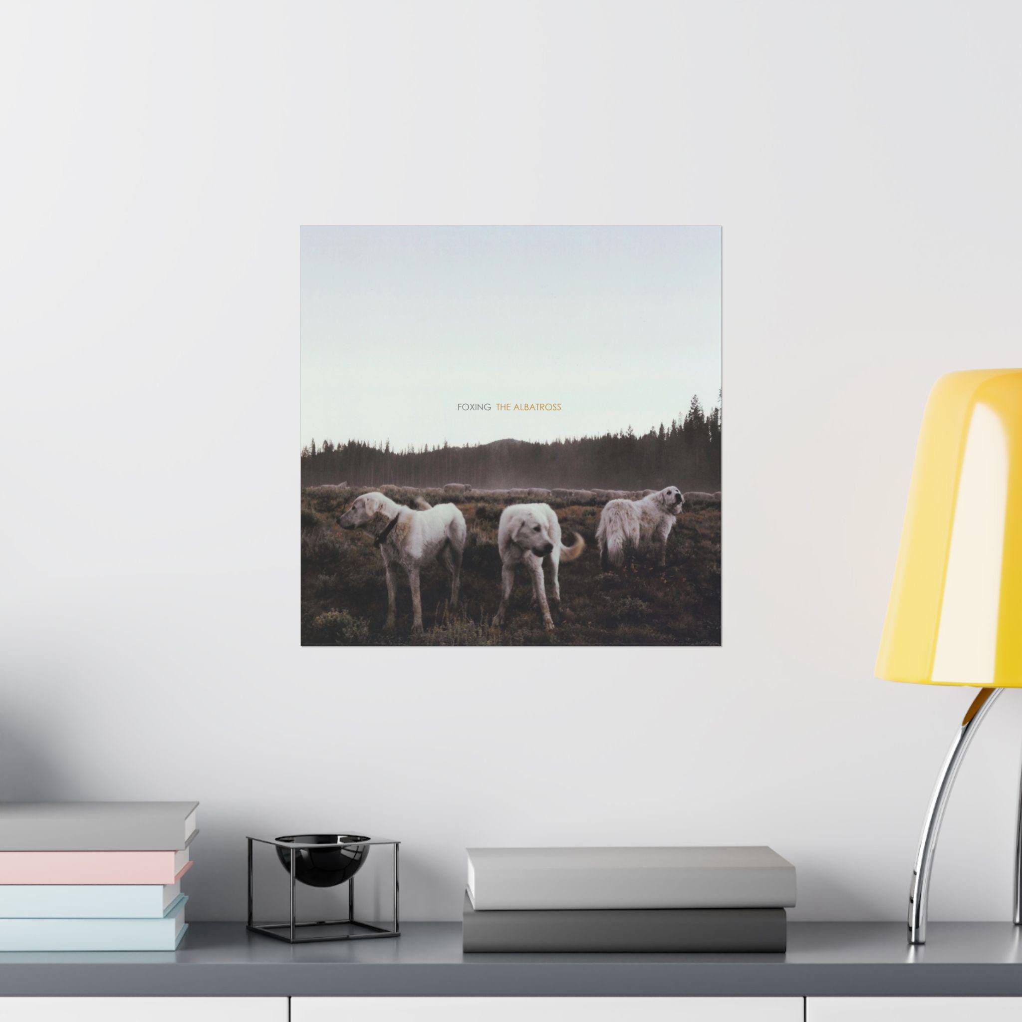 Foxing - the Albatross Album Cover Poster, Midwest Emo Band, 2010s Emo ...