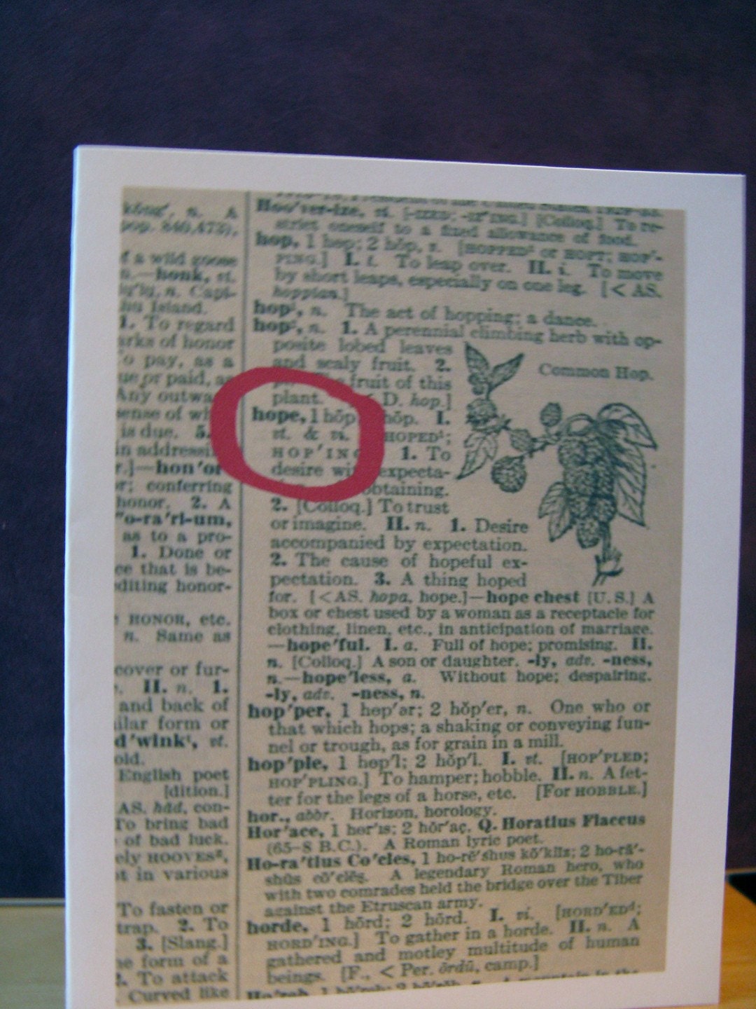 Vintage Dictionary Cards - HOPE - With Delicate Plant Drawing - Great ...