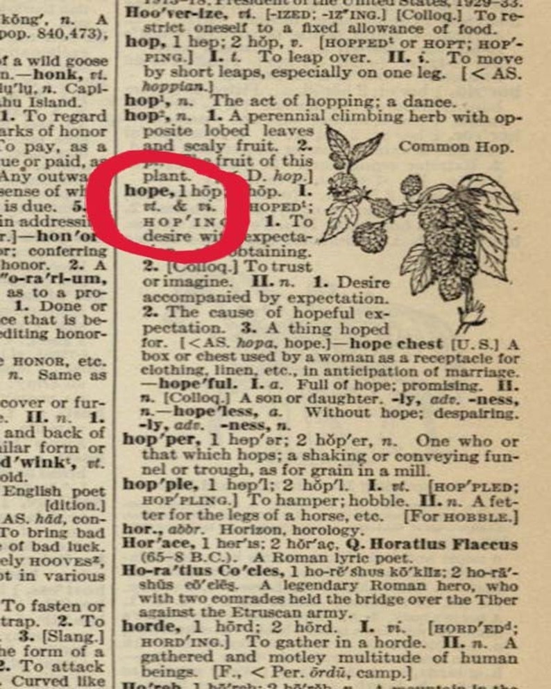 Vintage Dictionary Cards - HOPE - With Delicate Plant Drawing - Great ...