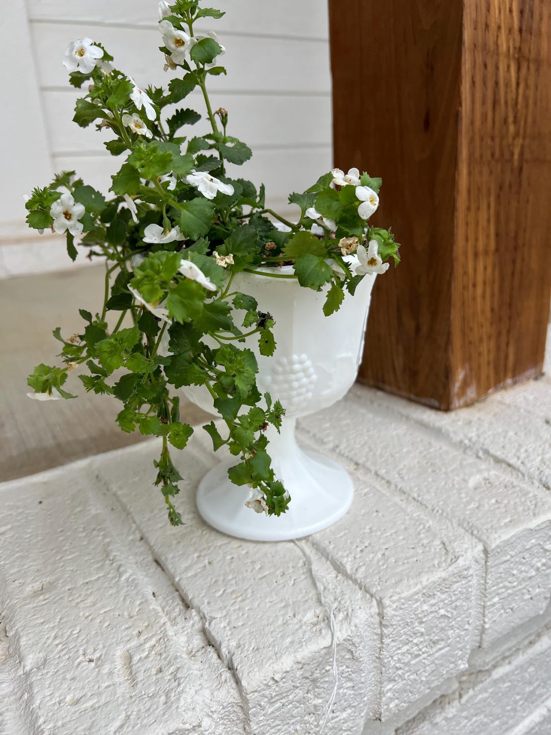 Grape Milkglass Fruit Stand - Etsy