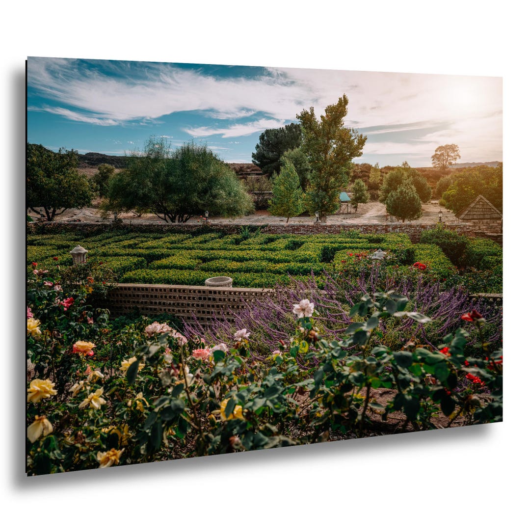 Orchard Labyrinth Rose Garden, Temecula, California: Fine Art Photo ...