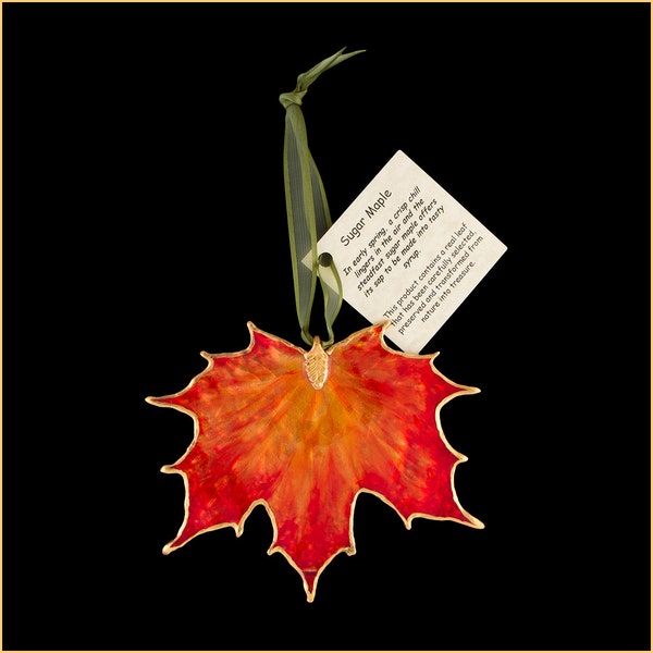 Real Maple Leaf - Etsy