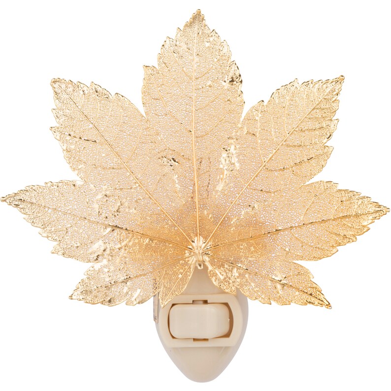 24k Gold Real Full Moon Maple Leaf Night Light Gift Boxed - Etsy