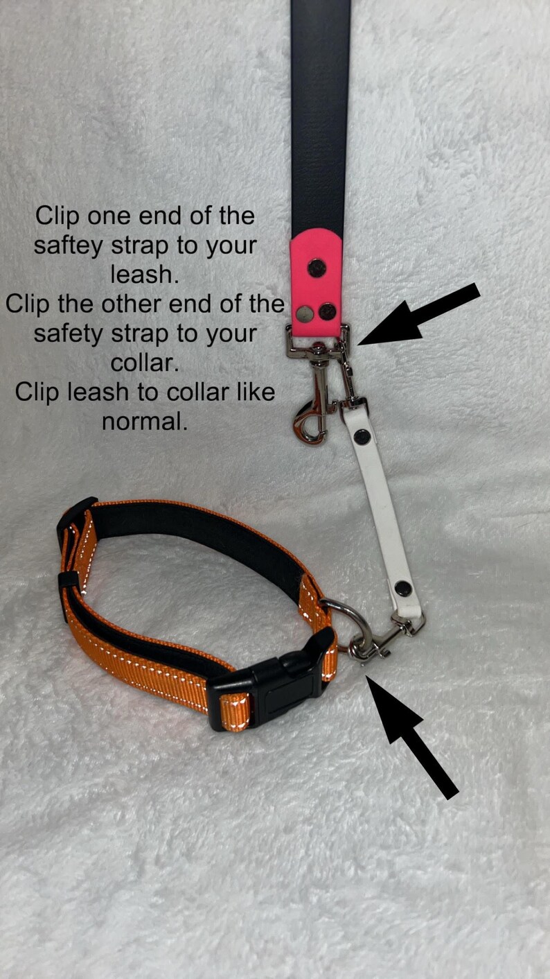 Biothane Safety Strap - Etsy