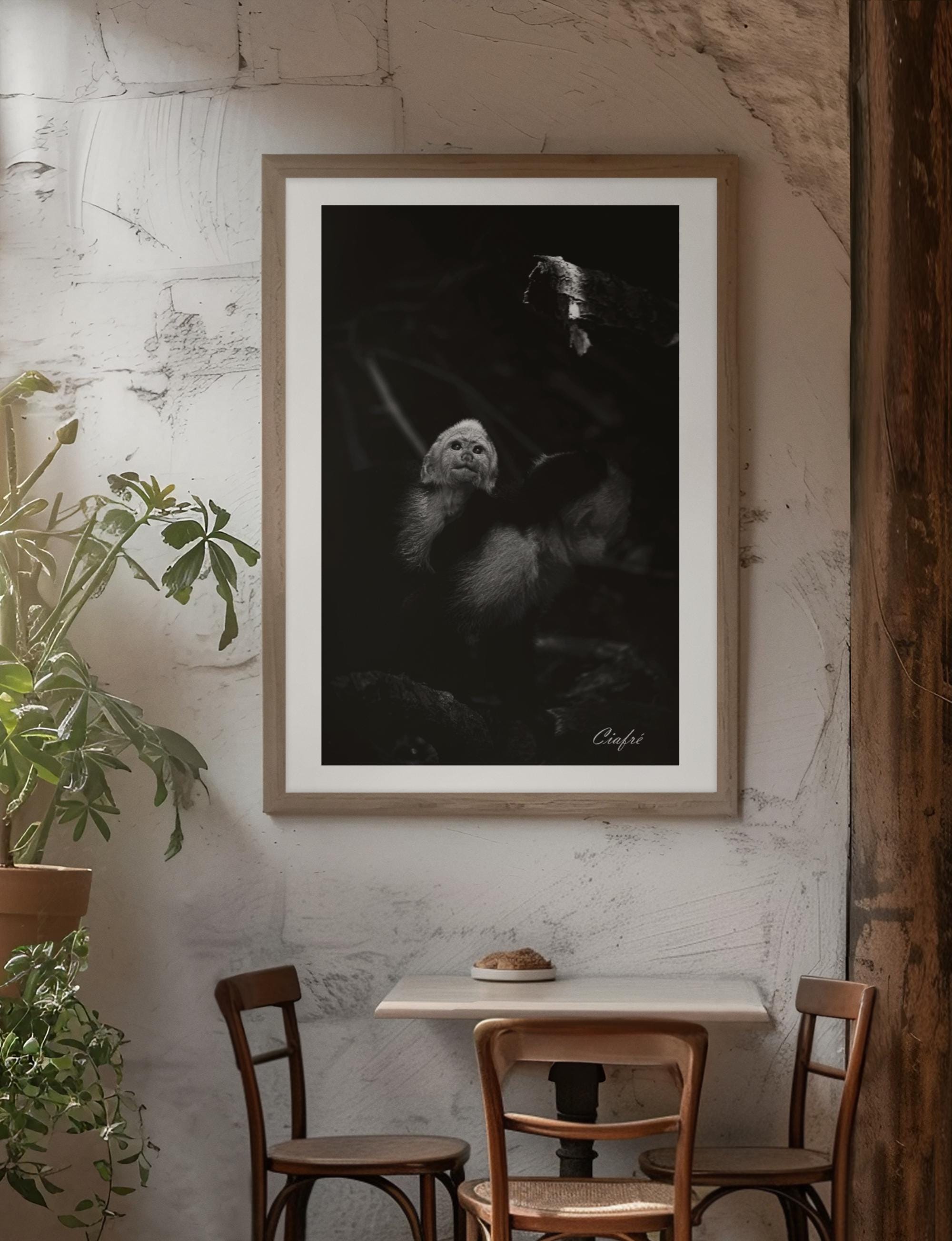 Mother's Watch – Capuchin Monkeys in Manuel Antonio - Etsy