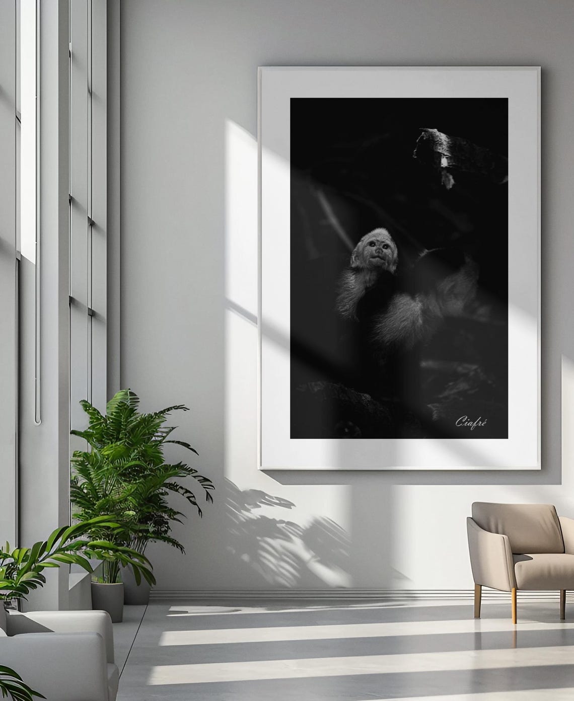 Mother's Watch – Capuchin Monkeys in Manuel Antonio - Etsy