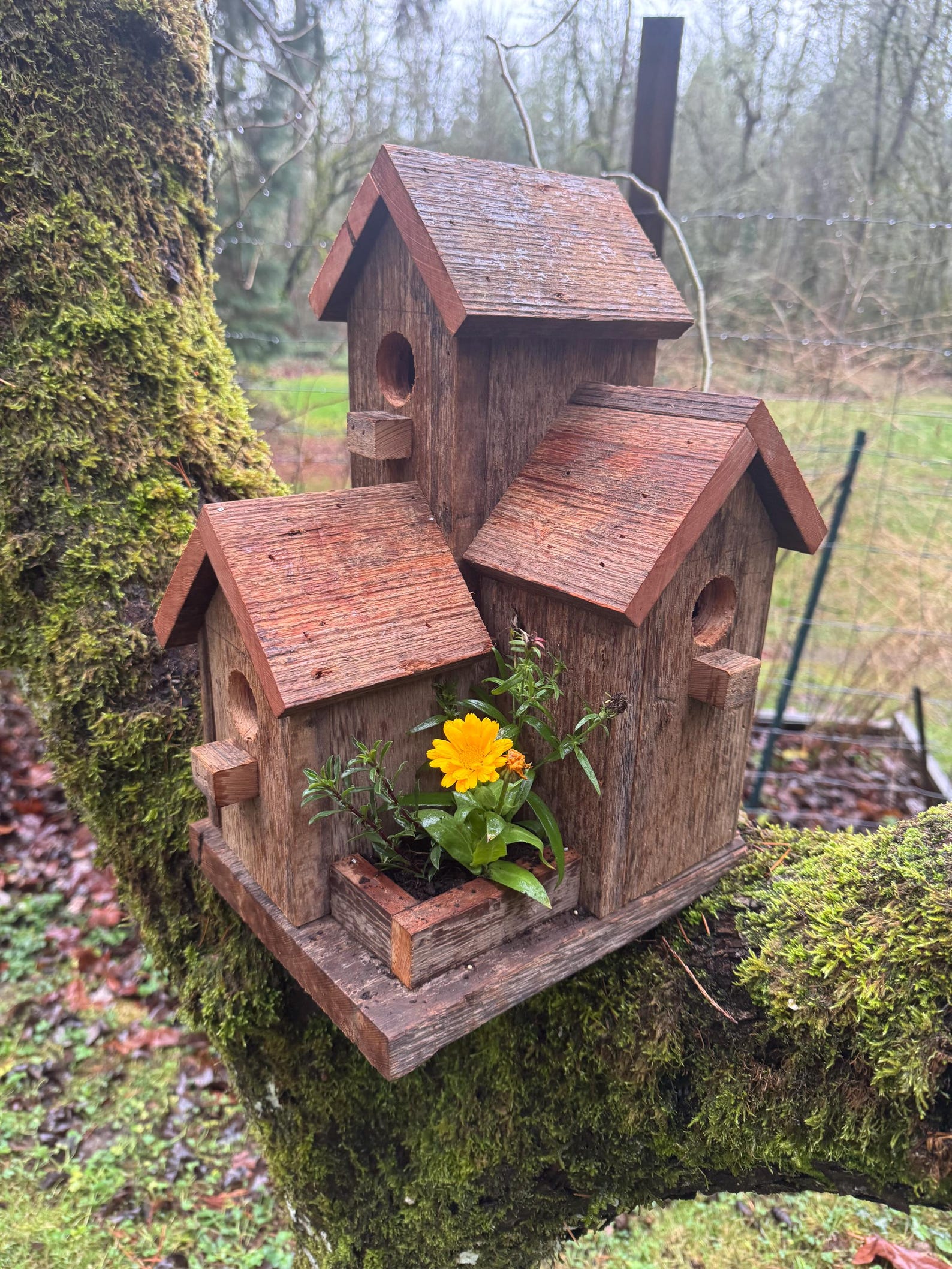 Barn Wood Birdhouse With Built-in Feeder/planter. - Etsy