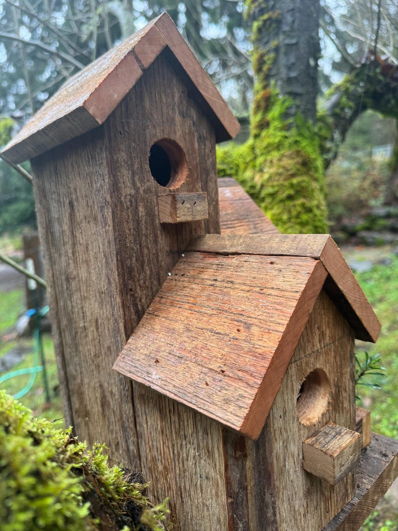 Barn Wood Birdhouse With Built-in Feeder/planter. - Etsy