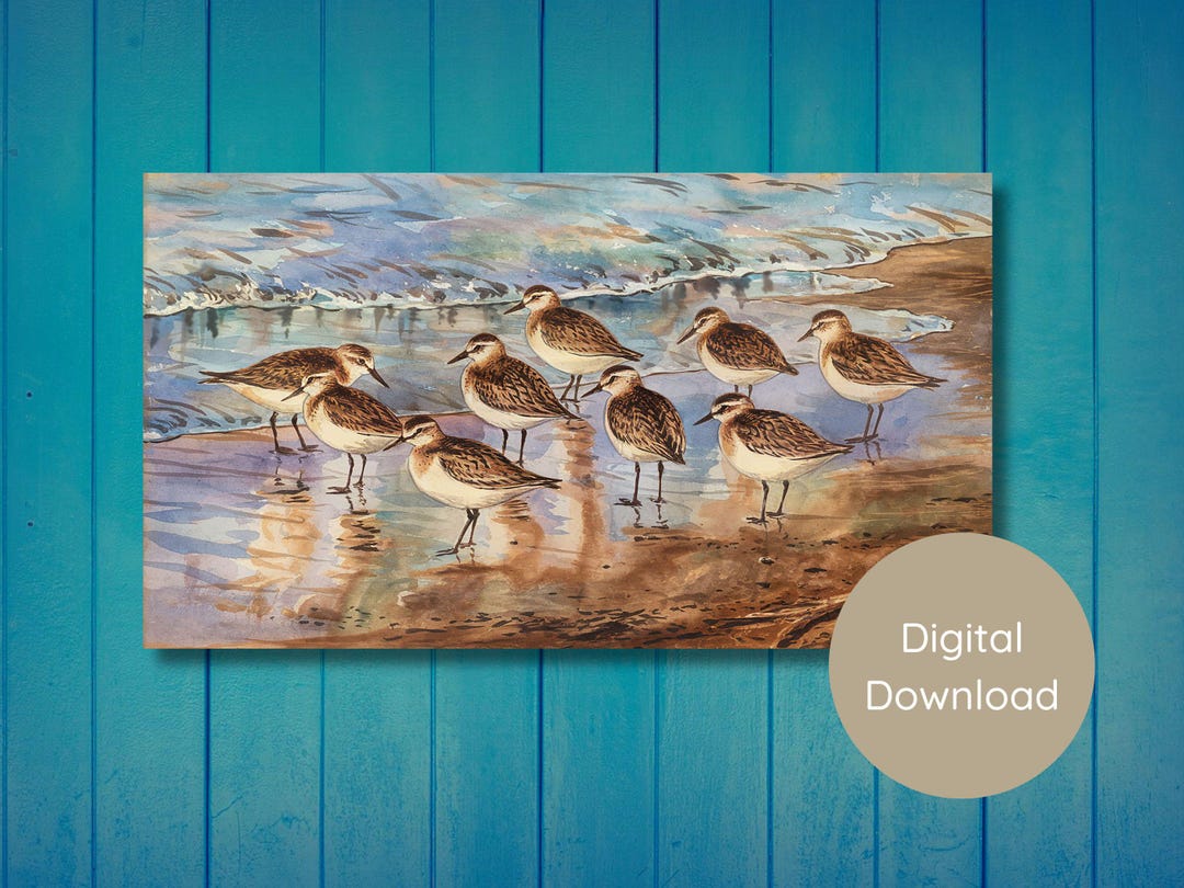 Sandpipers on Shore Watercolor Art Digital Download Printable Beach ...