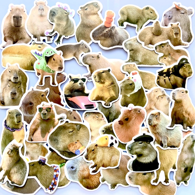 Pac wasser - Etsy.de