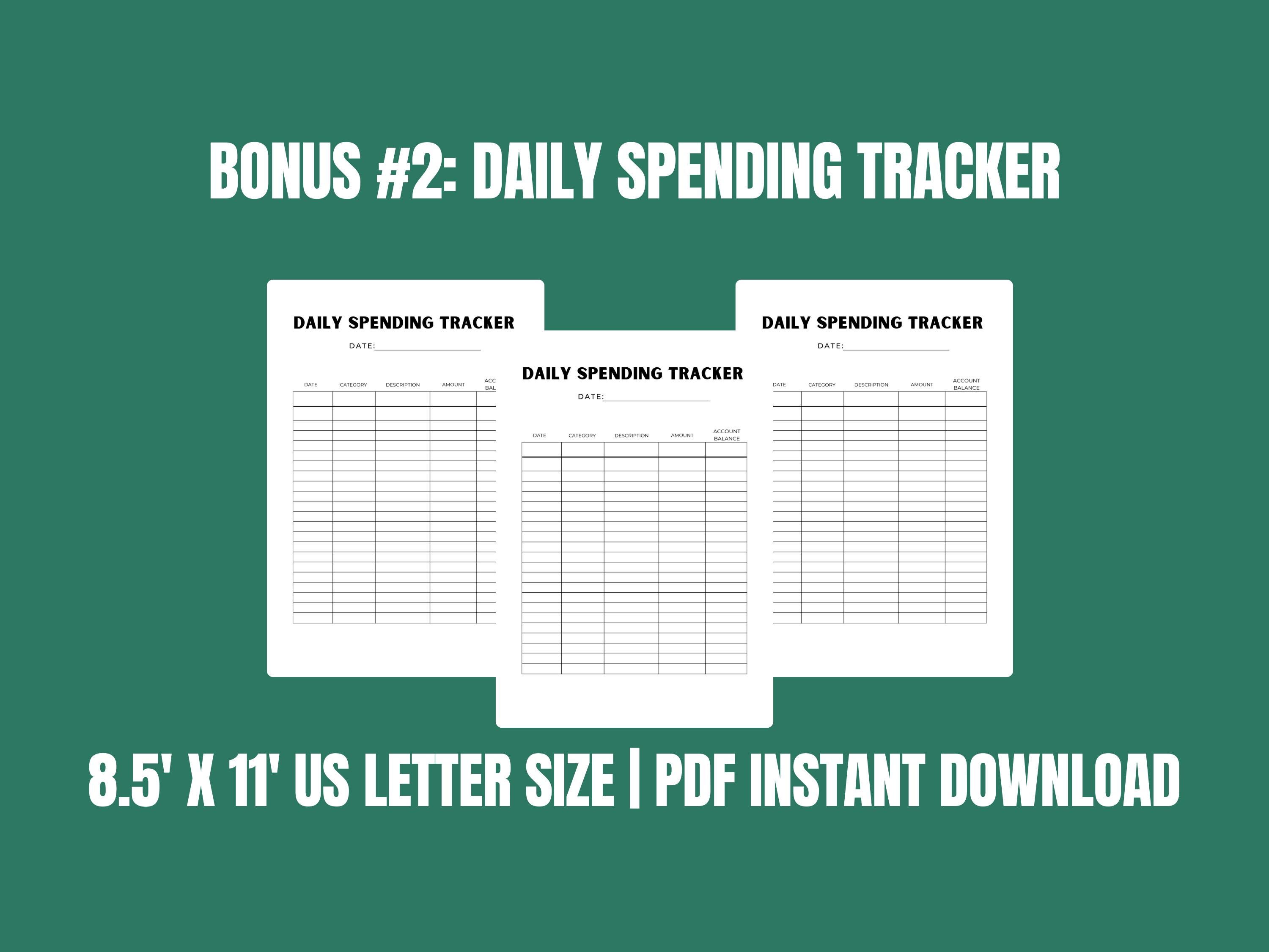 Student Loan Payoff Tracker | Printable Debt Tracker | Loan Repayment ...