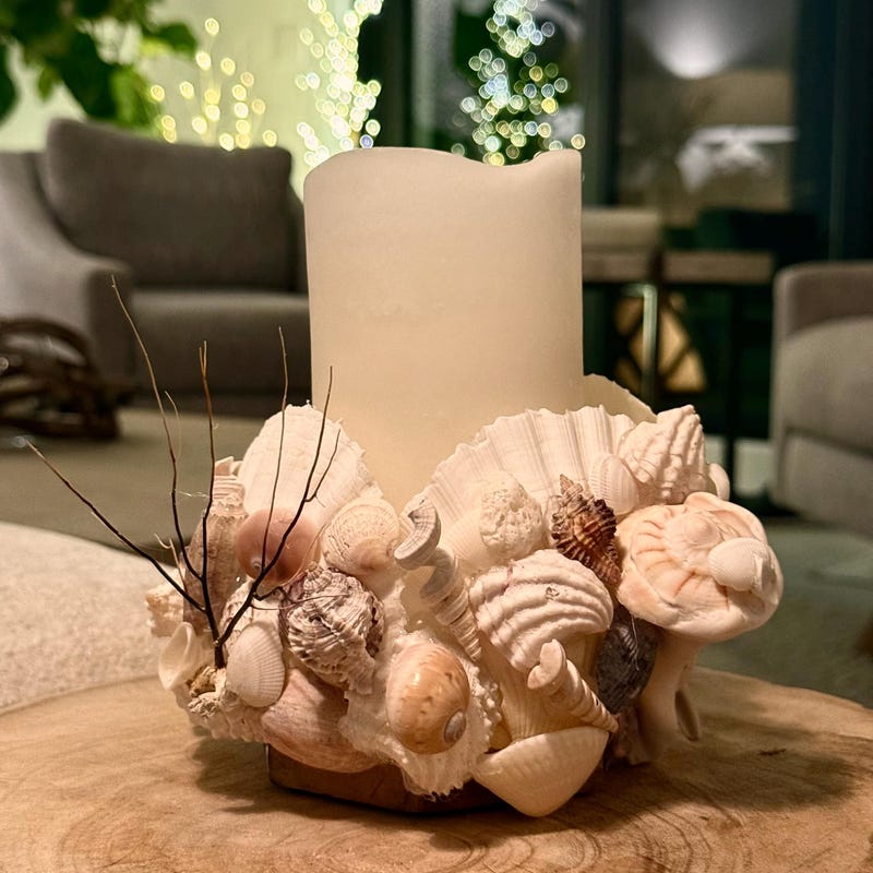 Shell Candle Holder - Etsy