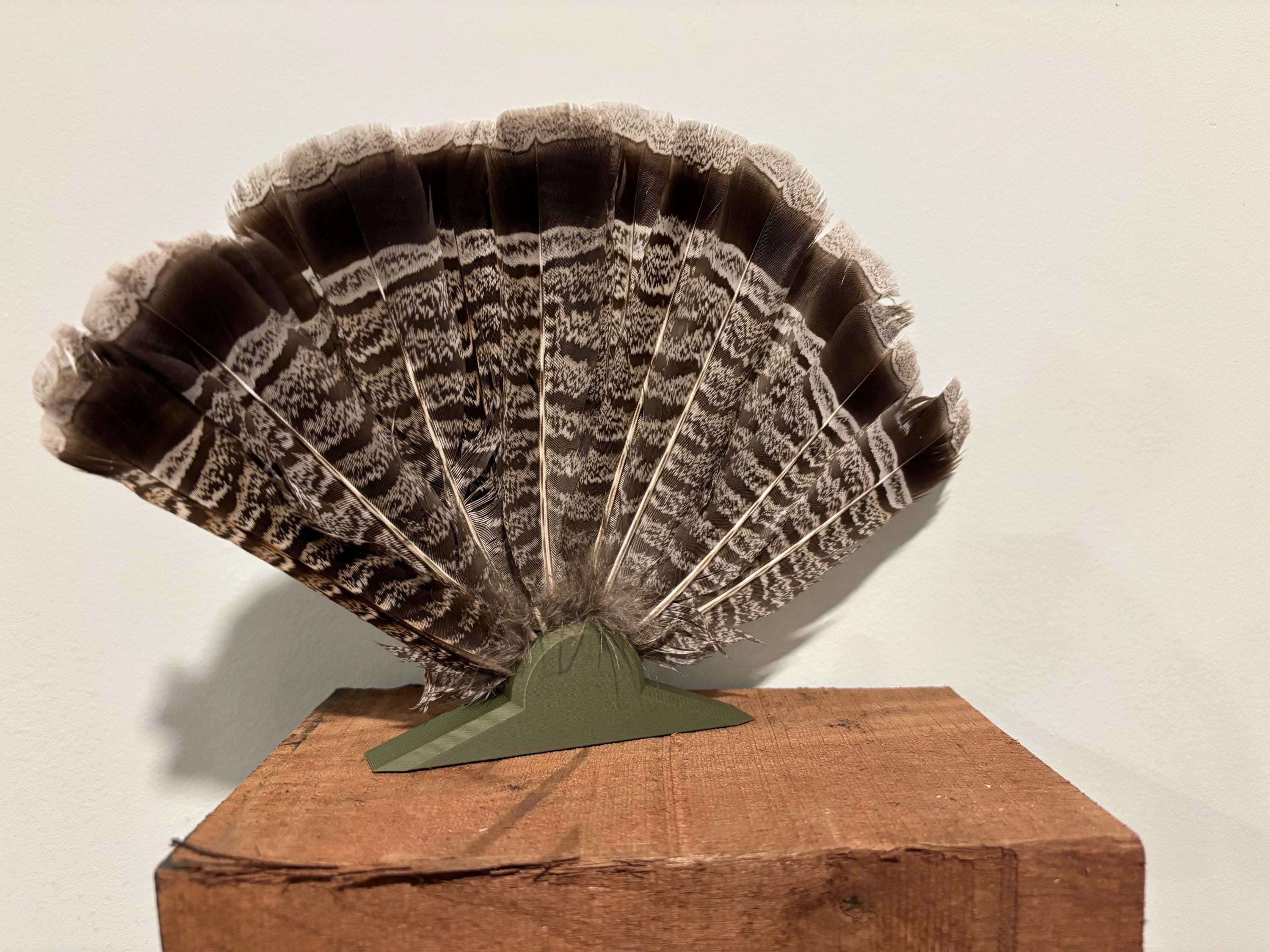 No Dry Grouse Fan Mount - Etsy