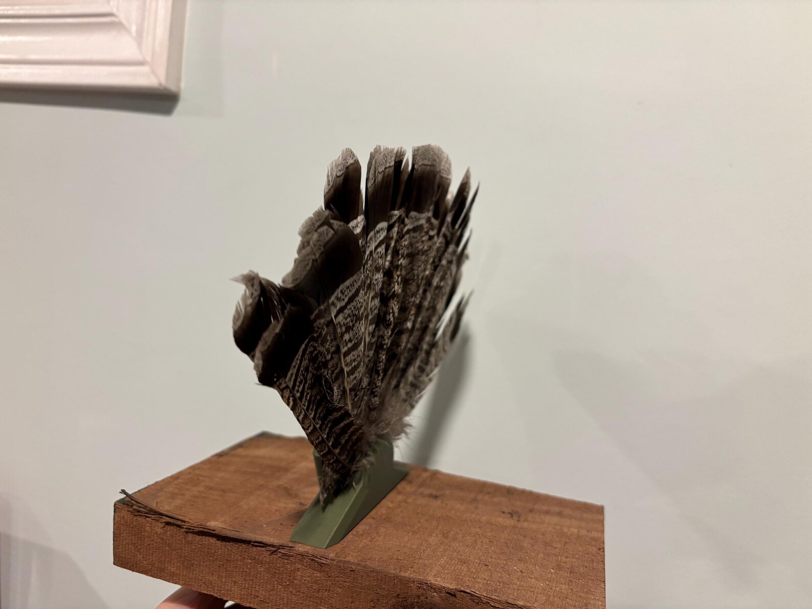 No Dry Grouse Fan Mount - Etsy