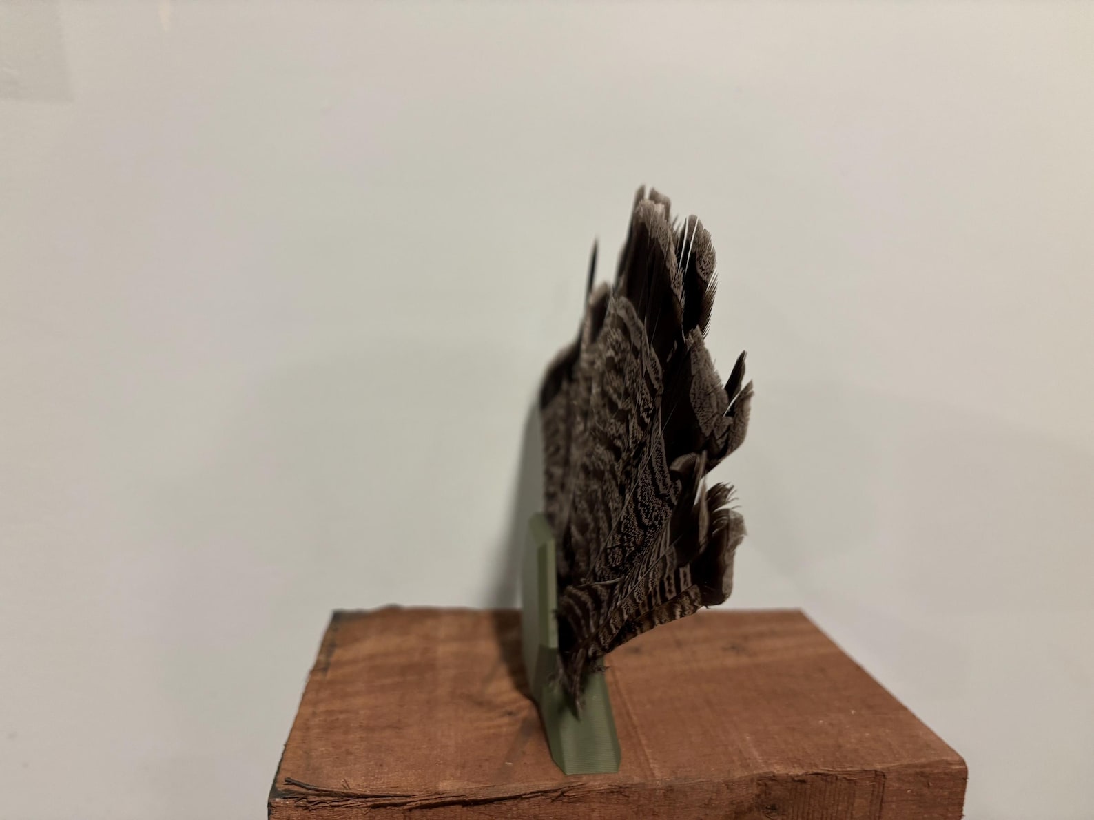 No Dry Grouse Fan Mount - Etsy