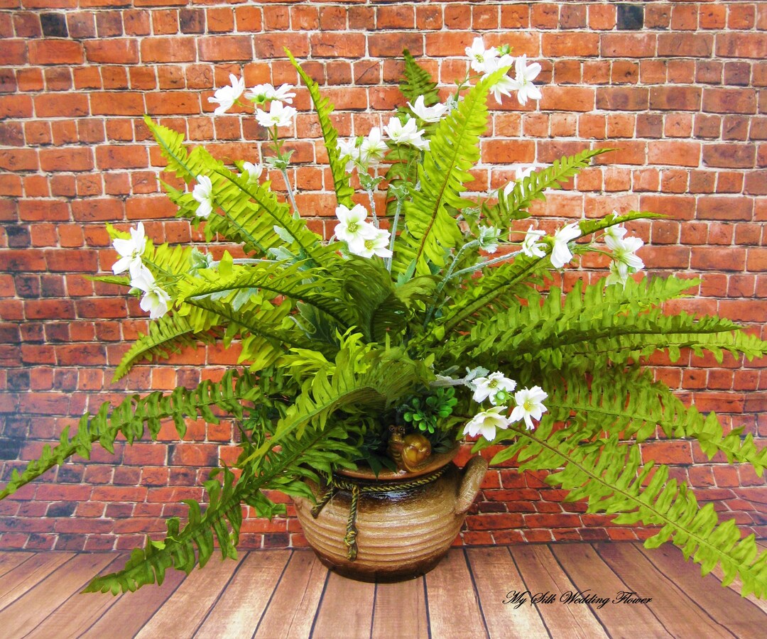 Boston Fern Arrangement, Fern Arrangement, Green Arrangement, Boston ...