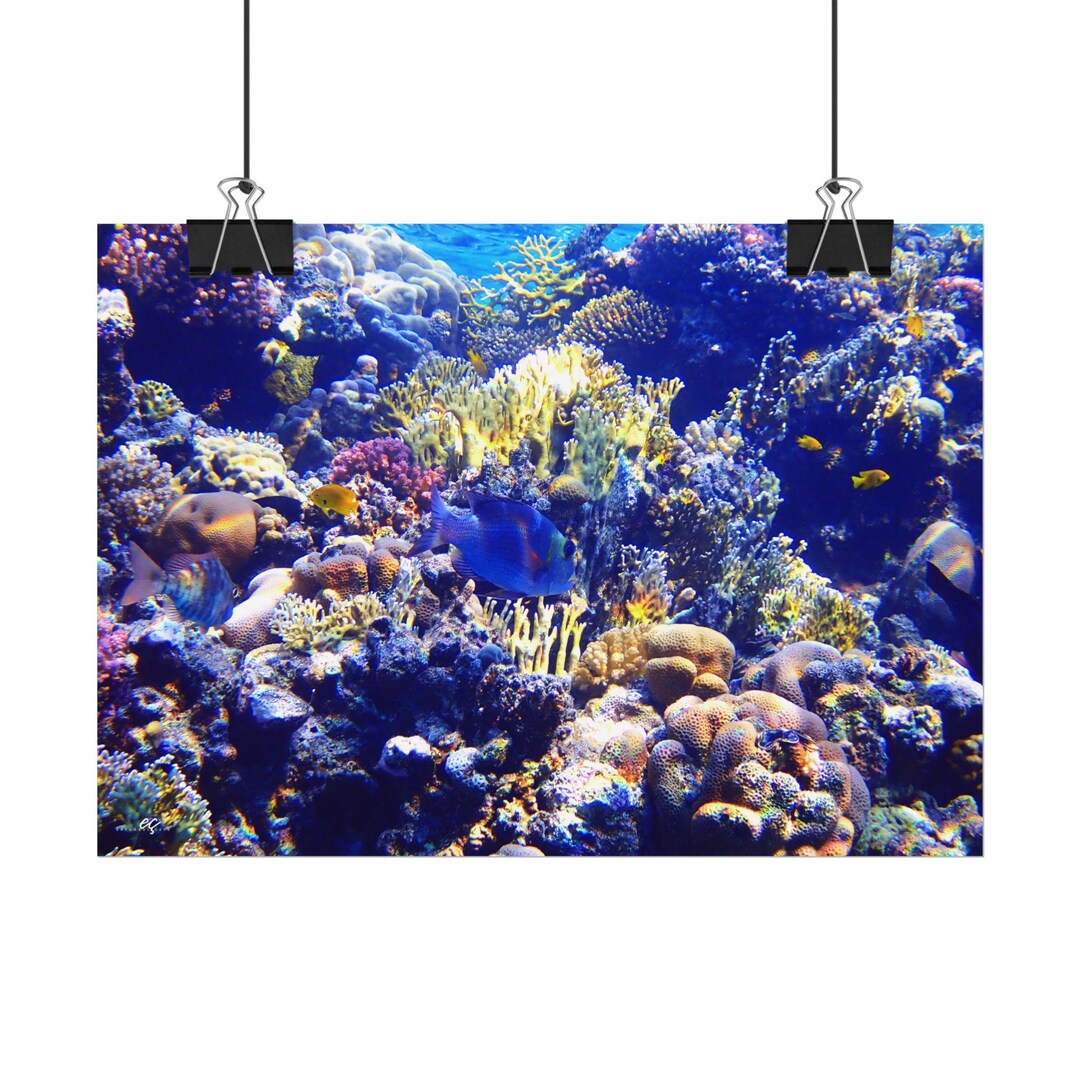 Vibrant Coral Reef Rolled Poster - Ocean Decor, Beach House Art ...