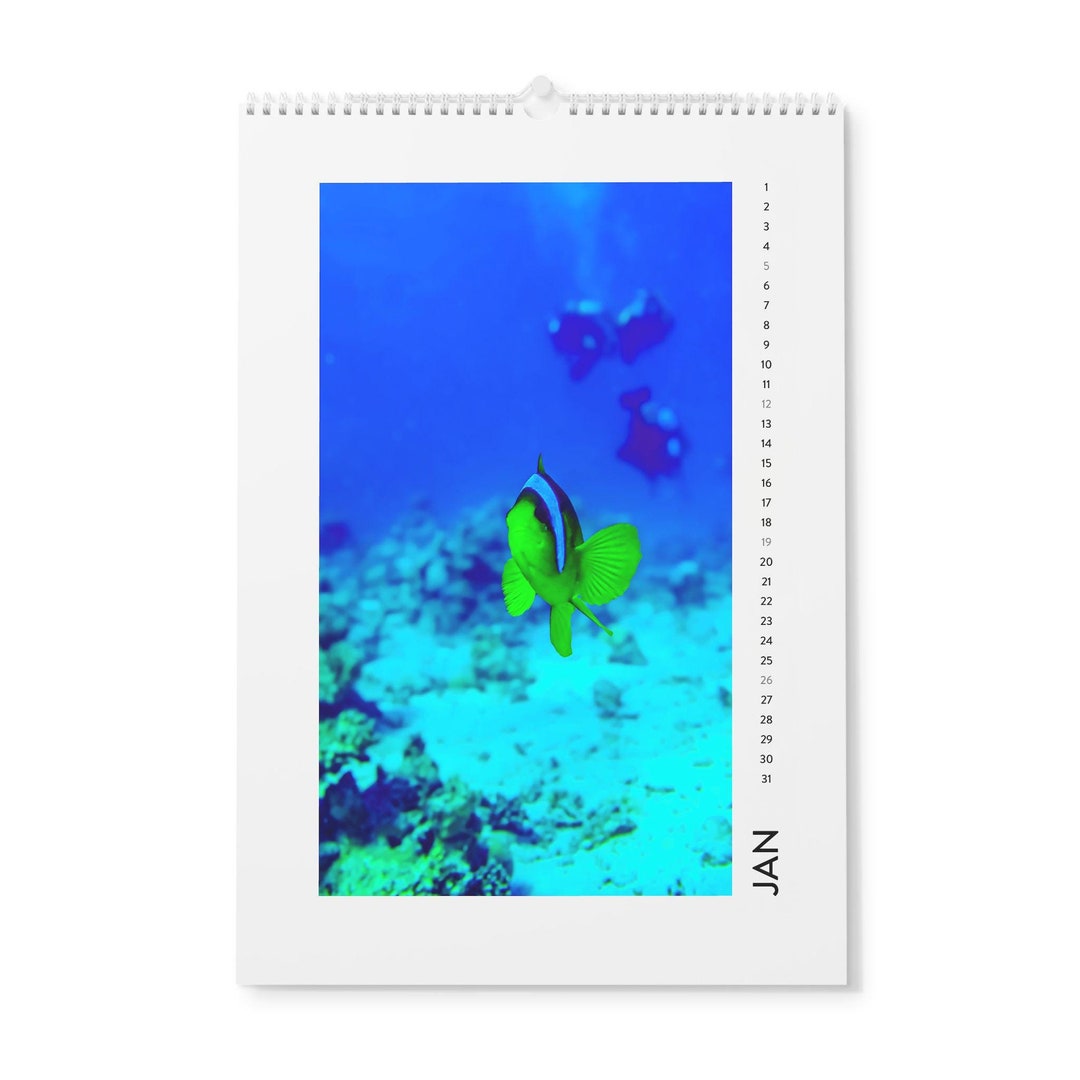 Underwater Adventure Wall Calendar 2025, Nautical Home Decor, Ocean ...