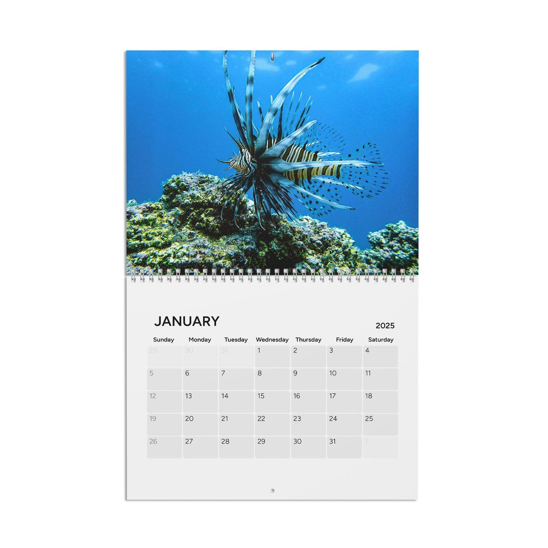 2025 Ocean Life Calendar, Beautiful Underwater Photography, Perfect ...