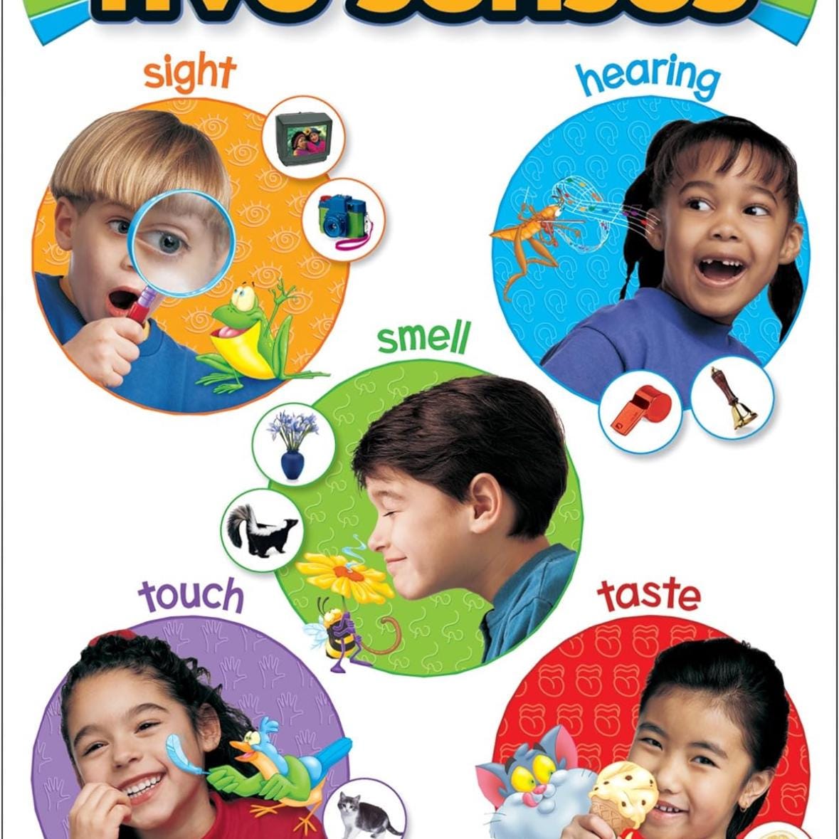 Printable Five Senses Games | 29 Fun and Educational Activities ...