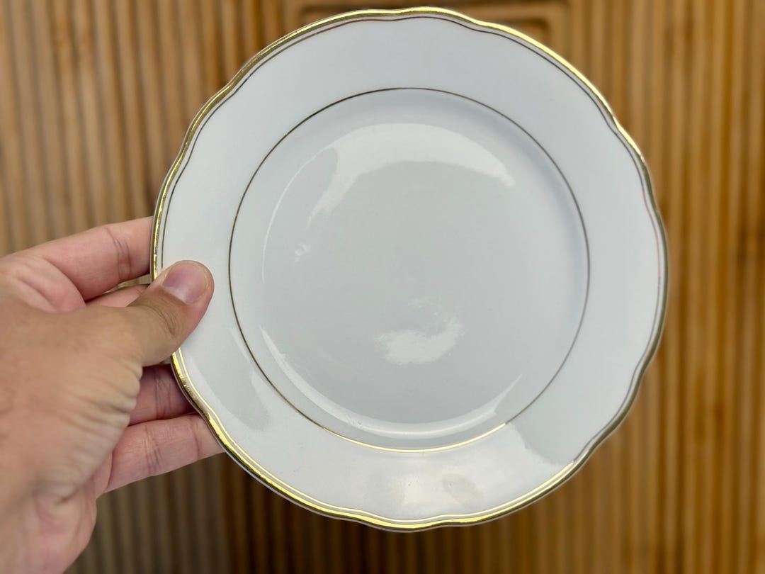 Vintage German Porcelain Plate: Retro Collectible Dinnerware (19cm) - Etsy