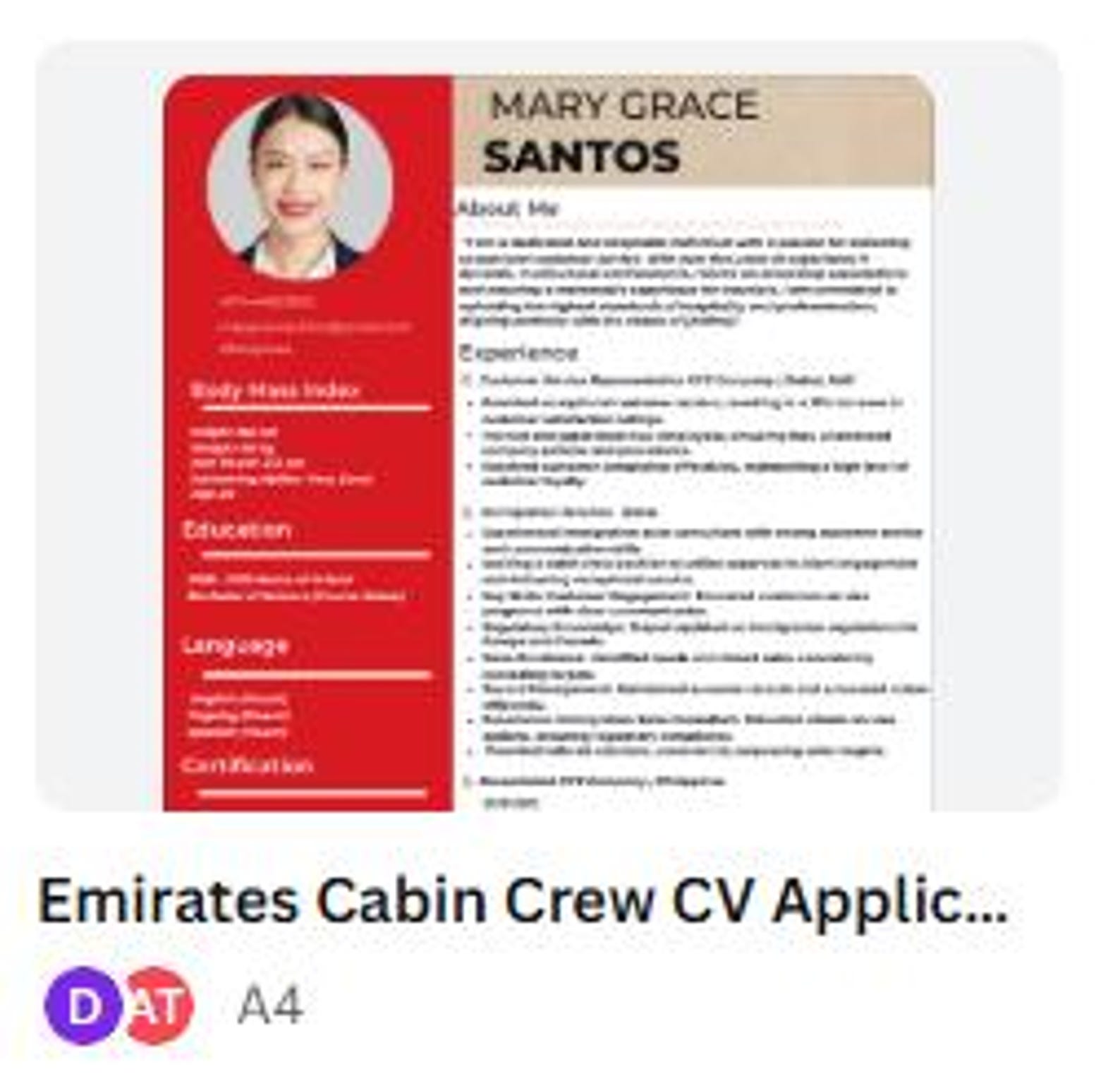 Professional Cabin Crew CV Template Perfect for Aspiring Flight ...