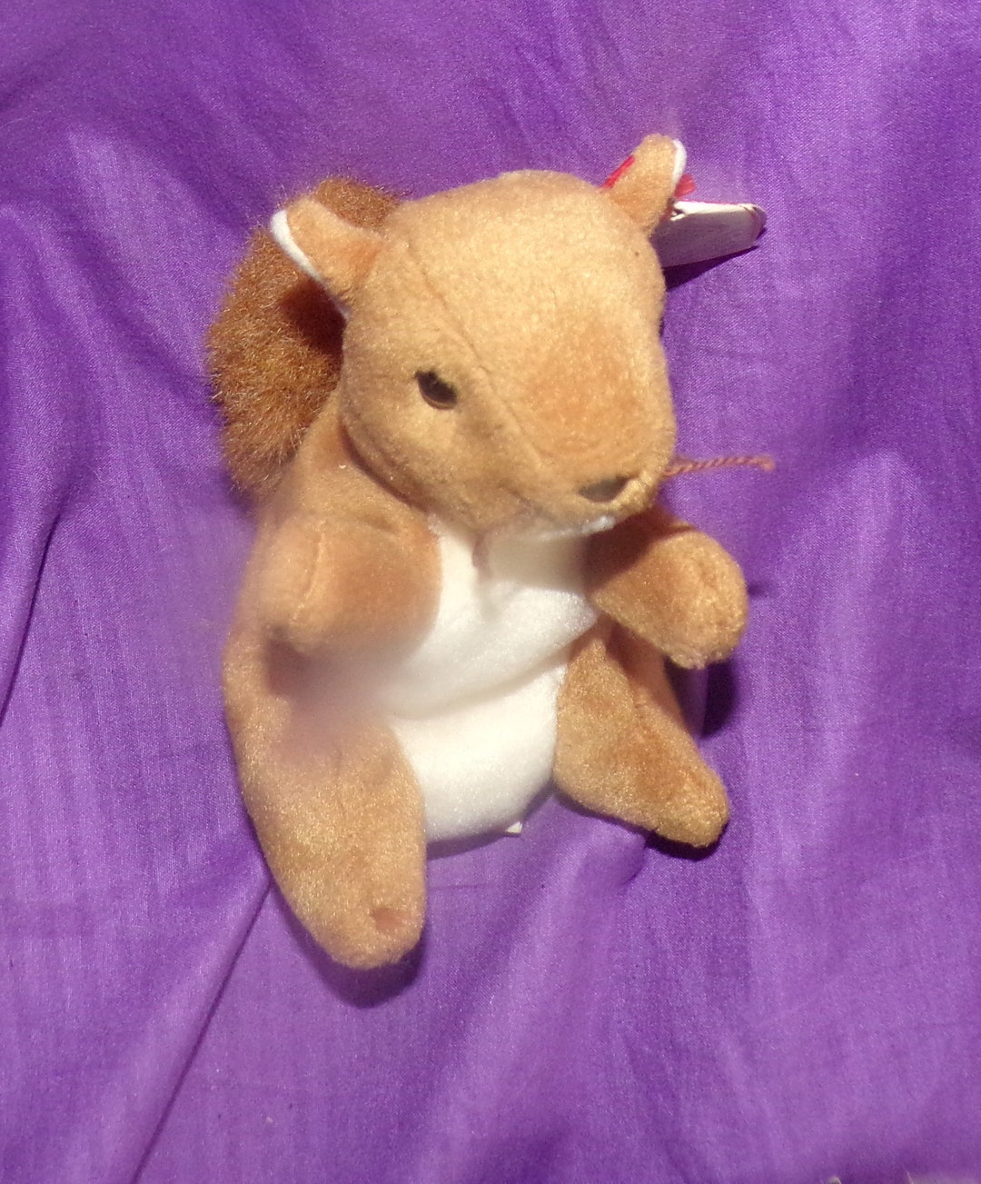 Ty Beanie Baby Nuts the Squirrel With Tag - Etsy