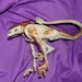Vintage 1993 Kenner Aliens Panther Alien Xenomorph Action Figure - Etsy