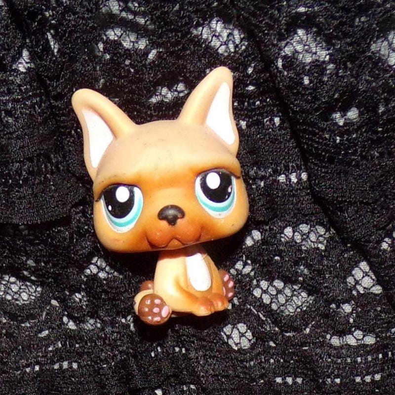 Lps - Etsy