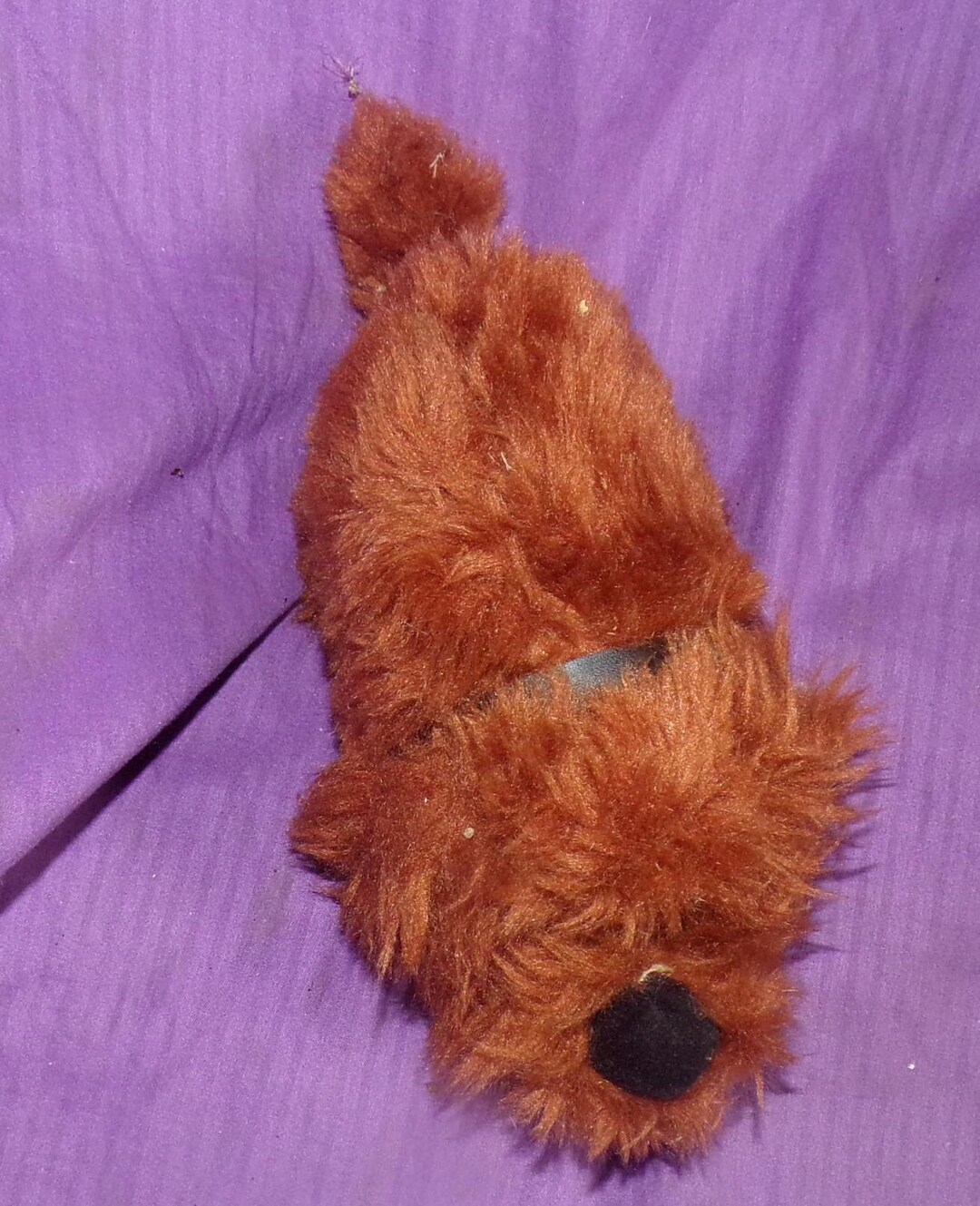 Ty Beanie Baby - Duke the Dog From the Secret Life of Pets (10in) With ...