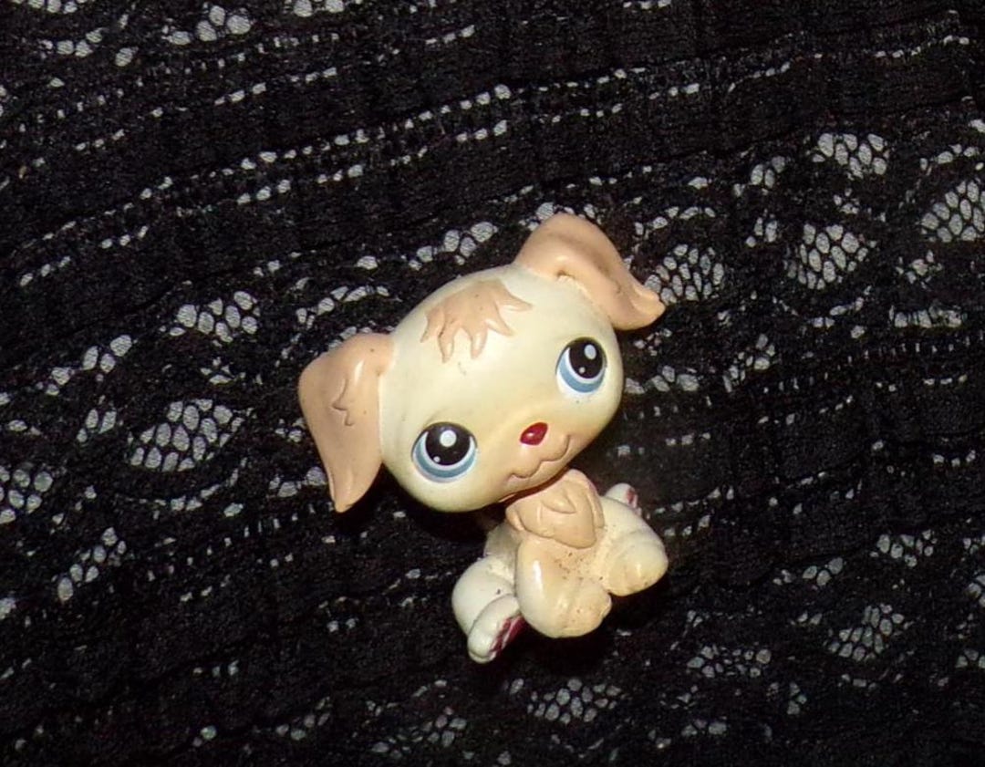 Vintage Authentic Littlest Pet Shop LPS Littlest Pet Shop Golden ...