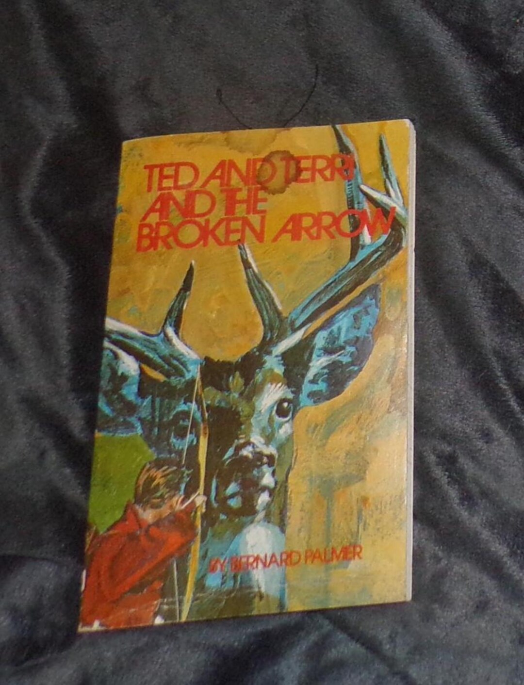 Vintage Ted and Terri and the Broken Arrow Bernard Palmer Paperback ...
