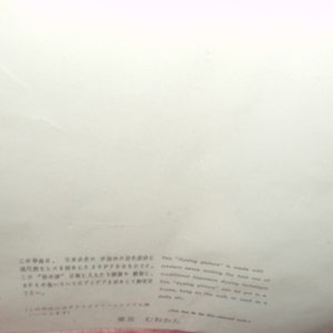 Vintage 9x9 Japanese Dyeing Picture Siamese Cat With Butterflies on Red ...