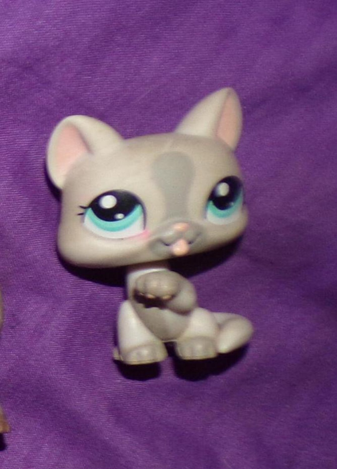 Vintage Authentic Littlest Pet Shop LPS Paw Licking Cat - Etsy