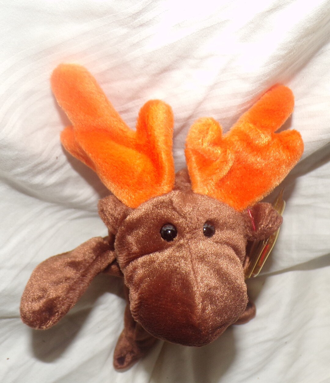 TY Beanie Baby Chocolate the Moose With Tag Retired - Etsy